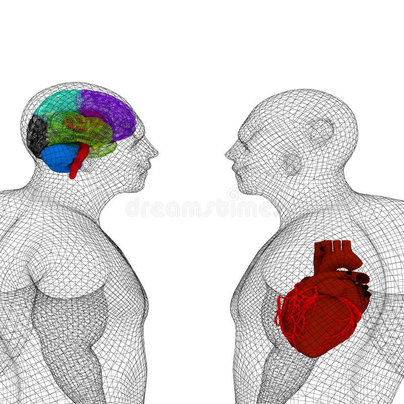 Chest Head Veins Stock Illustrations – 46 Chest Head Veins Stock ...
