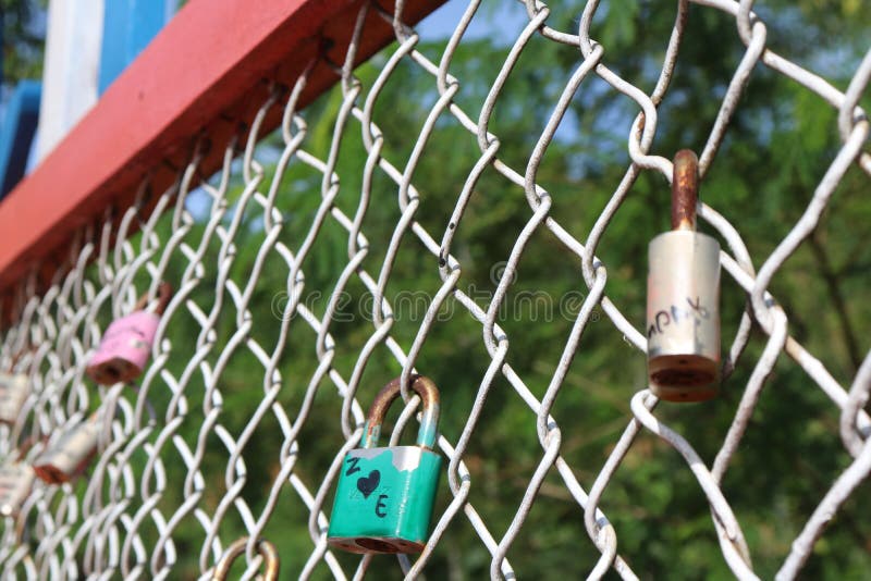 Wire with the love key stock photo. Image of wire, leaf - 217099950