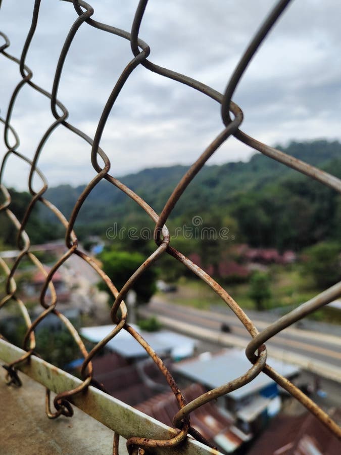 Wire mesh stock photo. Image of nature, mesh, cloud - 279100110