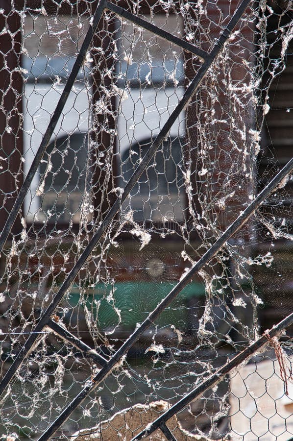 Wire Mesh and Cobwebs on an Old Frame Stock Photo - Image of frame ...