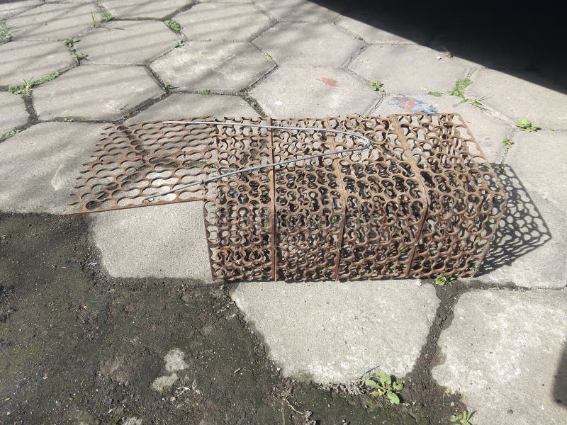 Wire Mesh Mouse Trap for Humane Rodent Control Stock Photo - Image of ...