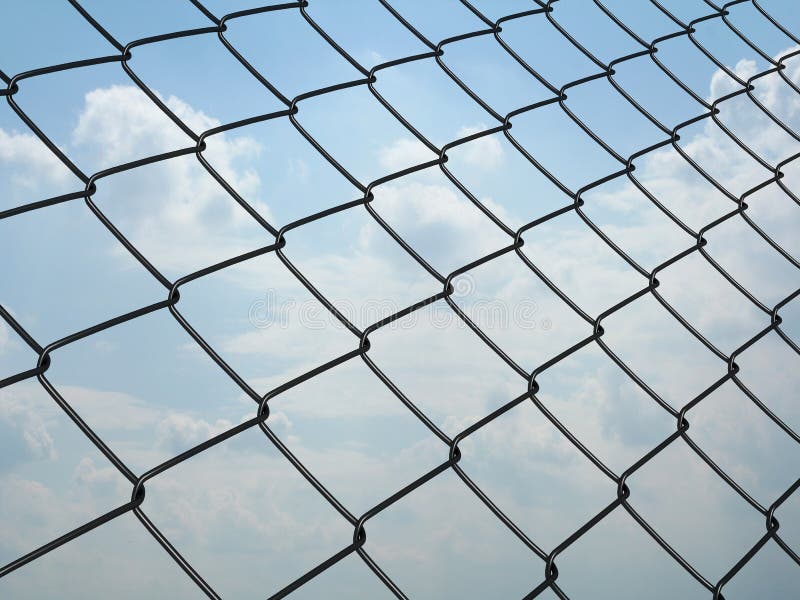 Wire Net Picture. Image: 3458050