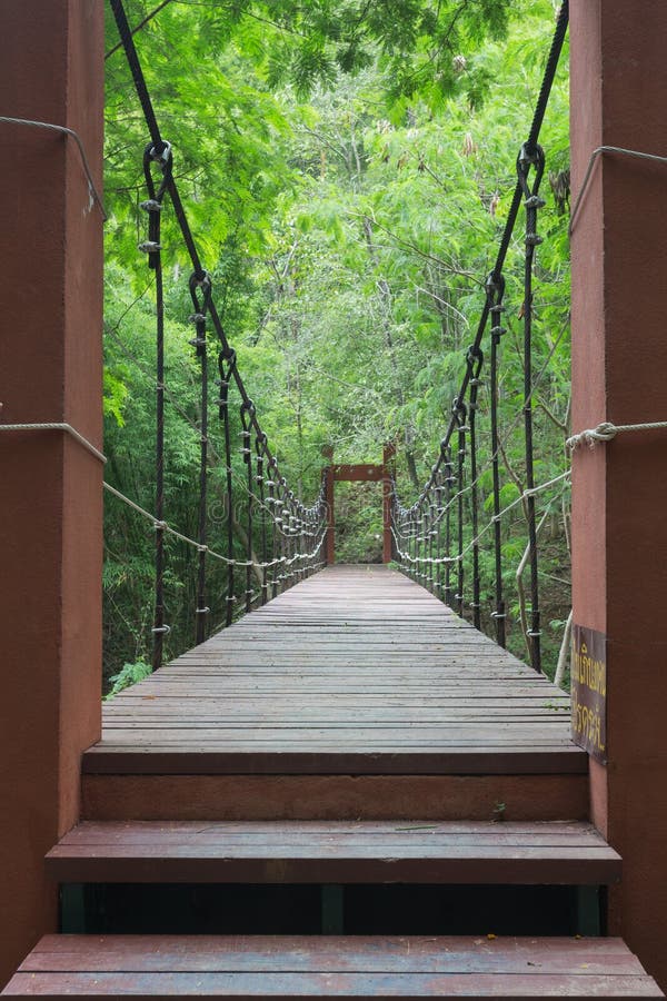 Wire Rope bridge stock photo. Image of blue, wood, landscape - 67107172