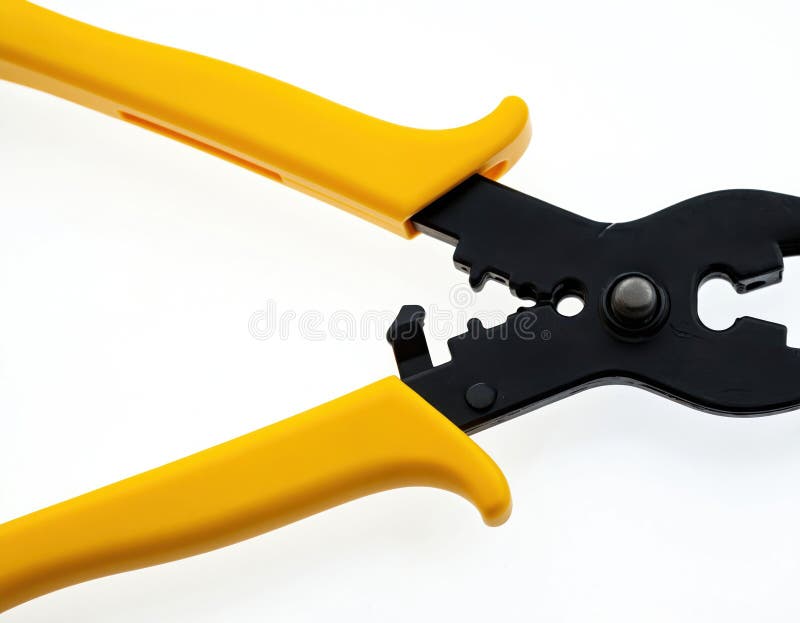 Strippers Stripping Stock Photos - Free & Royalty-Free Stock Photos ...