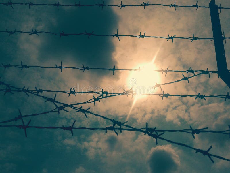 Wire stock image. Image of landscape, sunlight, shining - 94365279