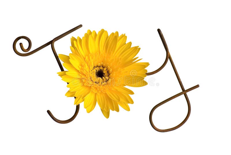 Wire Word: Joy stock image. Image of gleeful, vivacious - 14712593