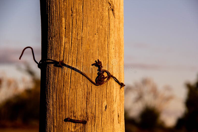 Wire Wrapped Around a Post in the Evening Sun Stock Image - Image of ...