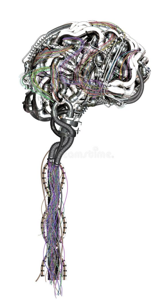 Wired brain stock image. Image of human, anatomy, communication - 65906183