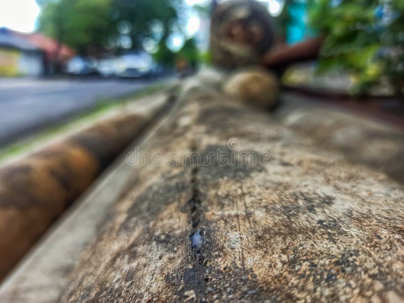 Waiting Line Poles Stock Photos - Free & Royalty-Free Stock Photos from ...