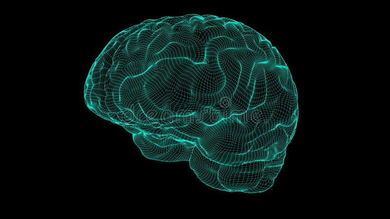 3D Wireframe Brain Illustration on Dark Blue Graphic Layout Stock ...
