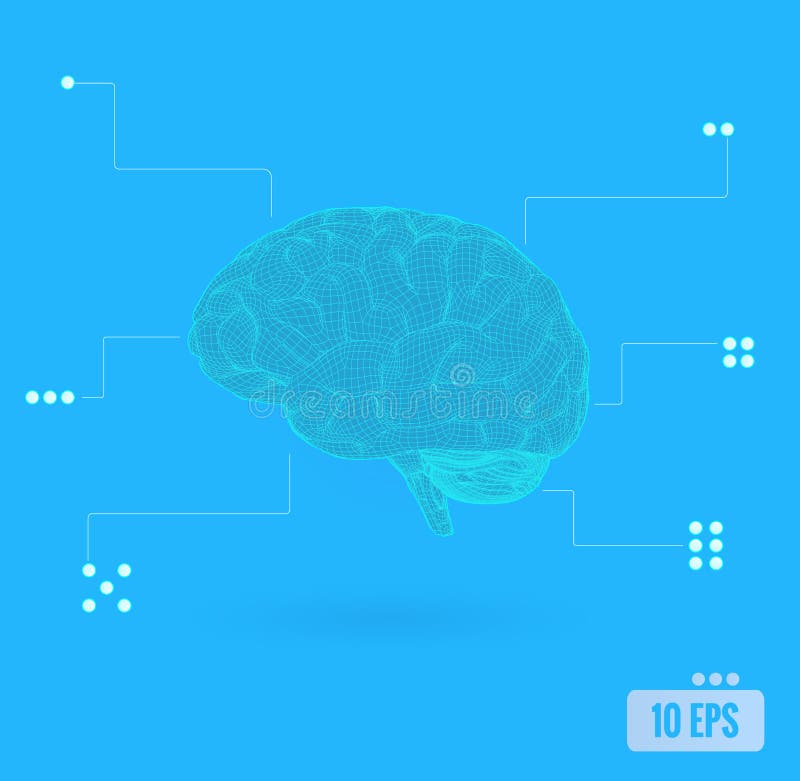 Wireframe Brain Illustration for Info Graphic Design Stock Vector ...