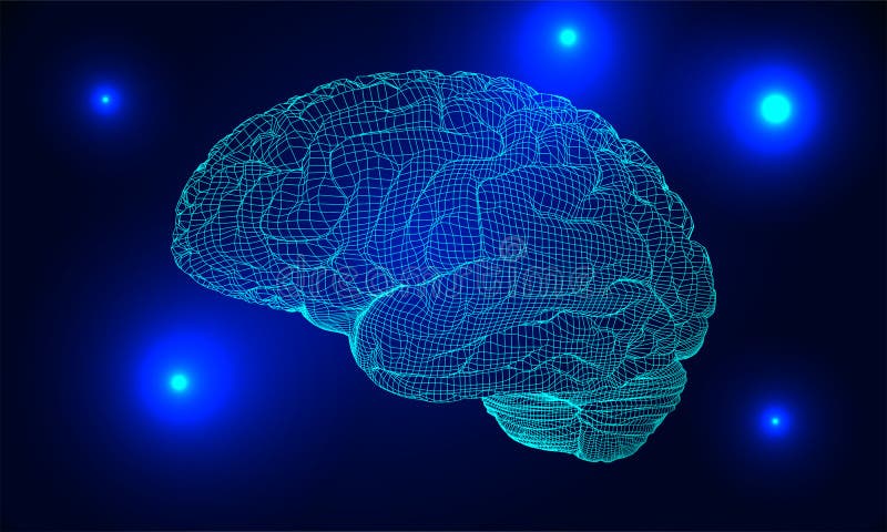 3D Wireframe Brain Illustration on Blue Graphic Layout Stock Vector ...