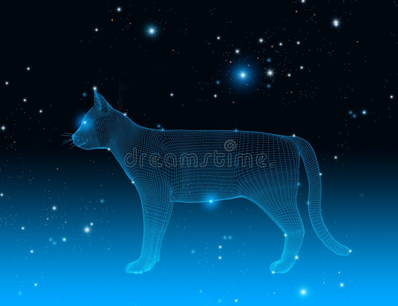 Wireframe Cat in the Night, Dark Space with Stars, Constellation, 3d ...