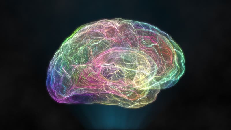 Wireframe 3D Animation of the Human Brain. Rotating Brain Model with ...