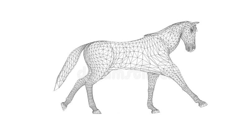 Wireframe 3d Horse Running, Seamless Loop, Against White Stock Footage ...