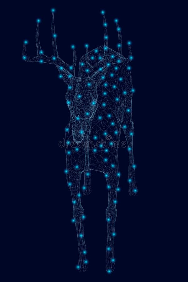 Set with Wireframe Deer of Black Lines on a White Background. Side ...