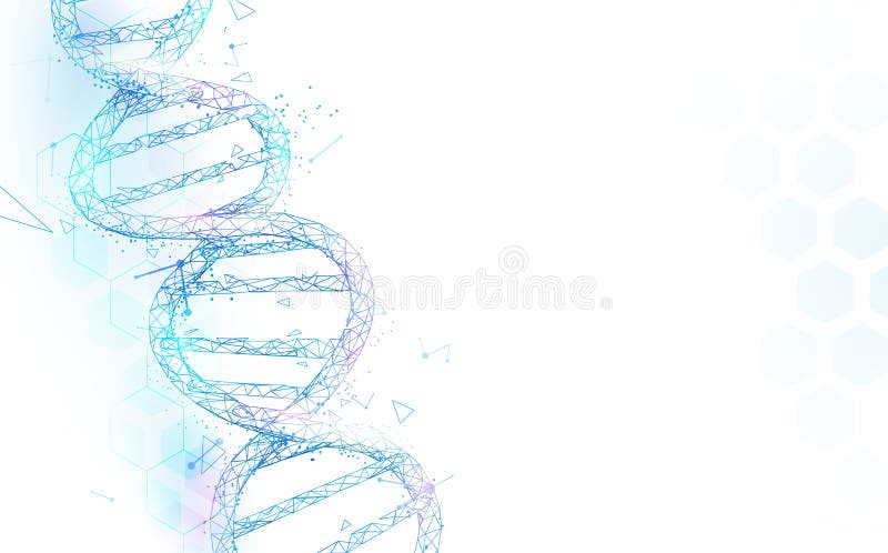 Wireframe DNA Molecules Structure Mesh on White Background. Science and ...