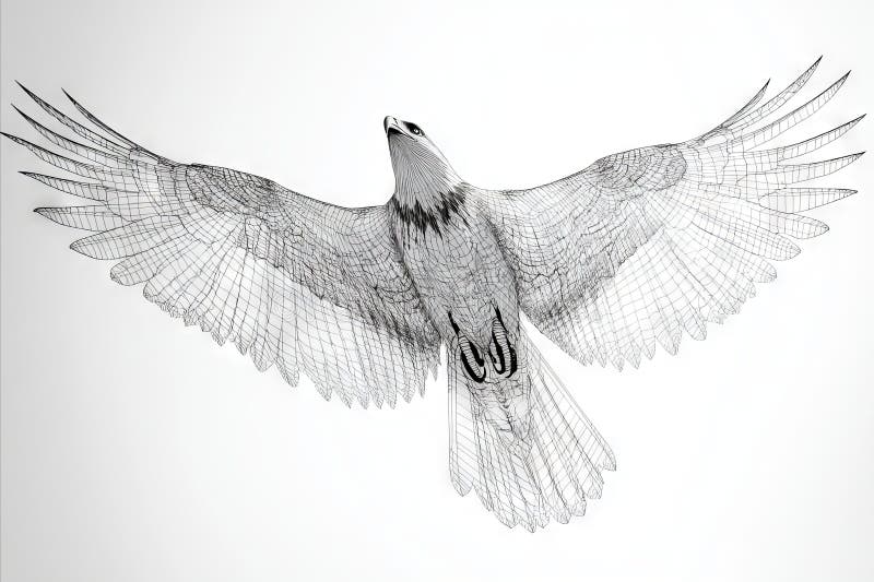 Wireframe of an Eagle in Flight with Wings Spread. Stock Image - Image ...