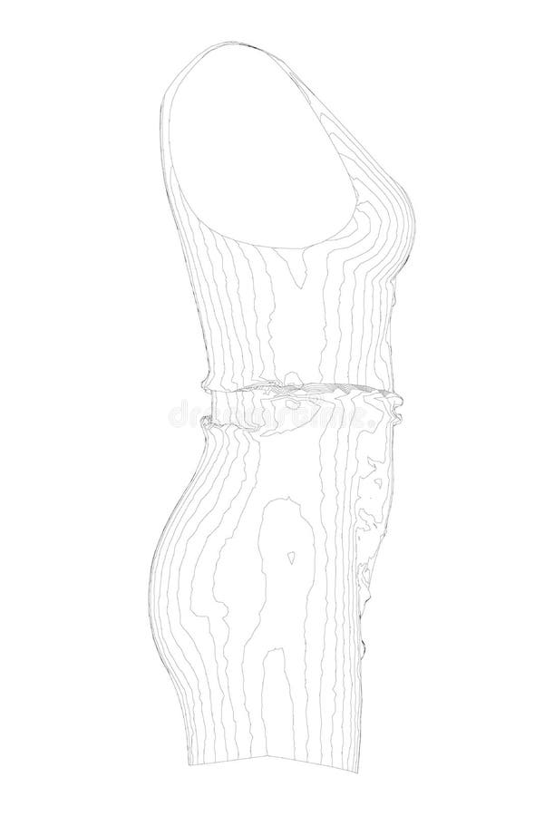 Wireframe of a Fitted Short Dress Made of Black Lines on a White ...