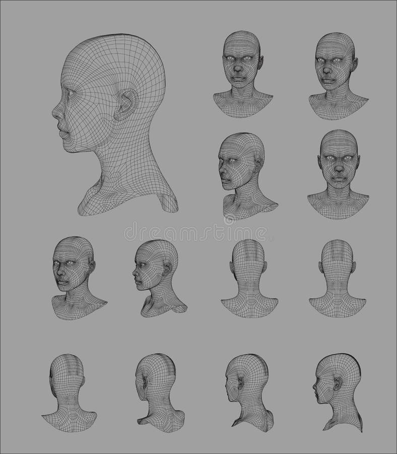 Wireframe Head 3d Model Vector Illustration Stock Vector - Illustration ...