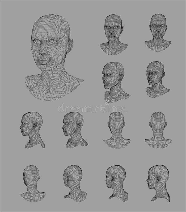 Wireframe Head 3d Model Vector Illustration Stock Vector - Illustration ...
