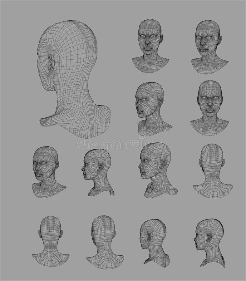 Wireframe Head 3d Model Vector Illustration Stock Vector - Illustration ...