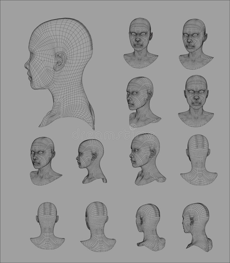 Wireframe Head 3d Model Vector Illustration Stock Vector - Illustration ...