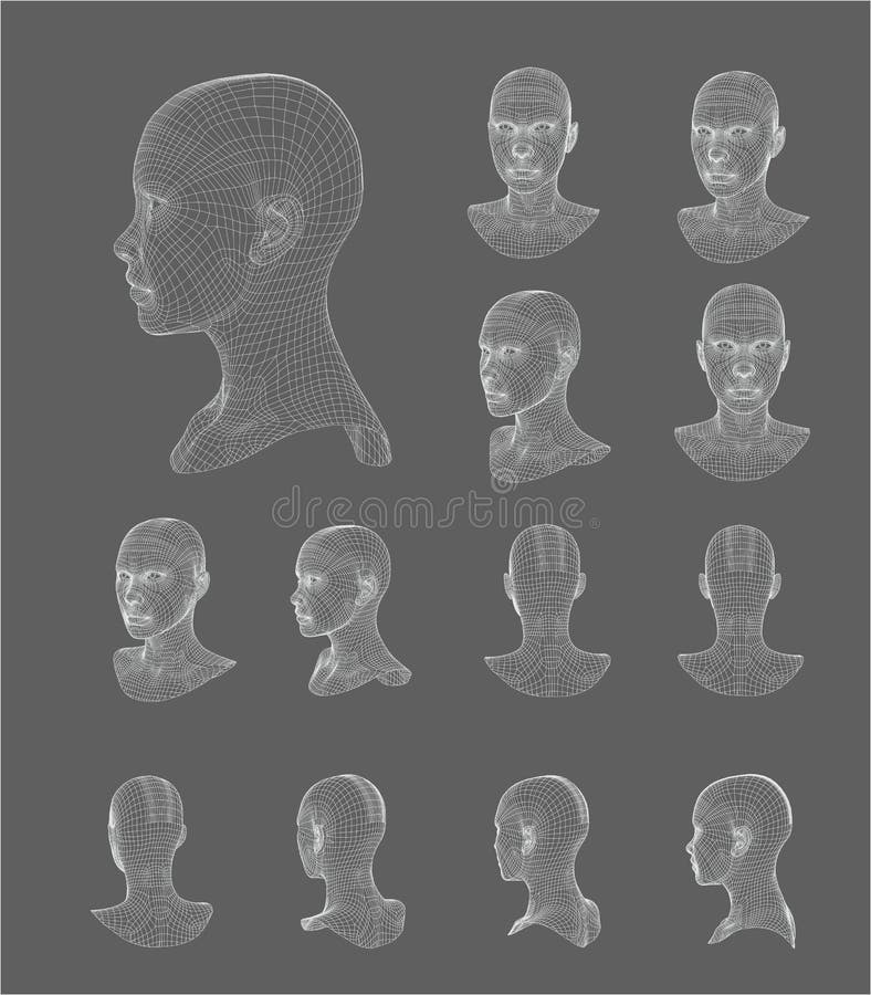 Wireframe Head 3d Model Vector Illustration Stock Vector - Illustration ...