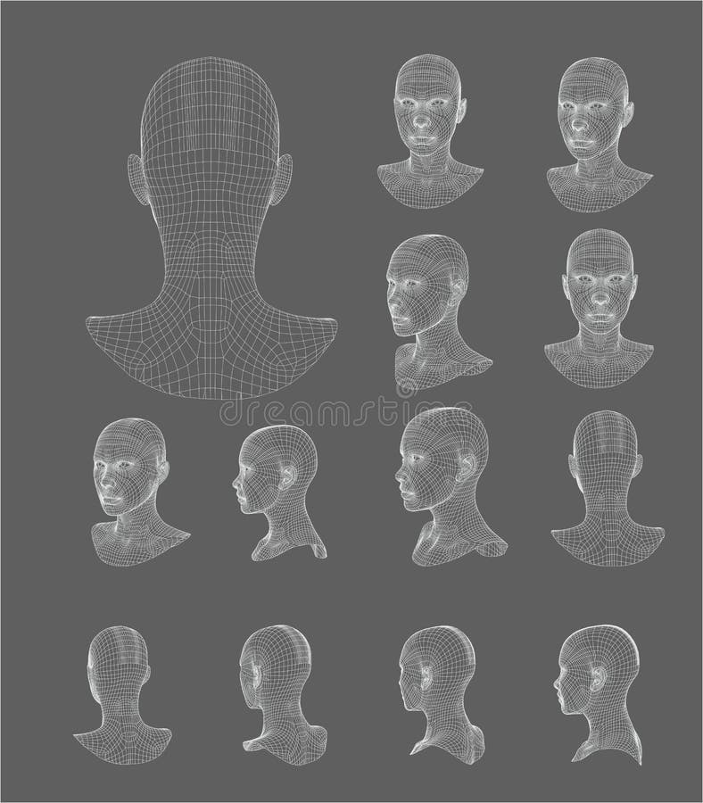 Wireframe Head 3d Model Vector Illustration Stock Vector - Illustration ...