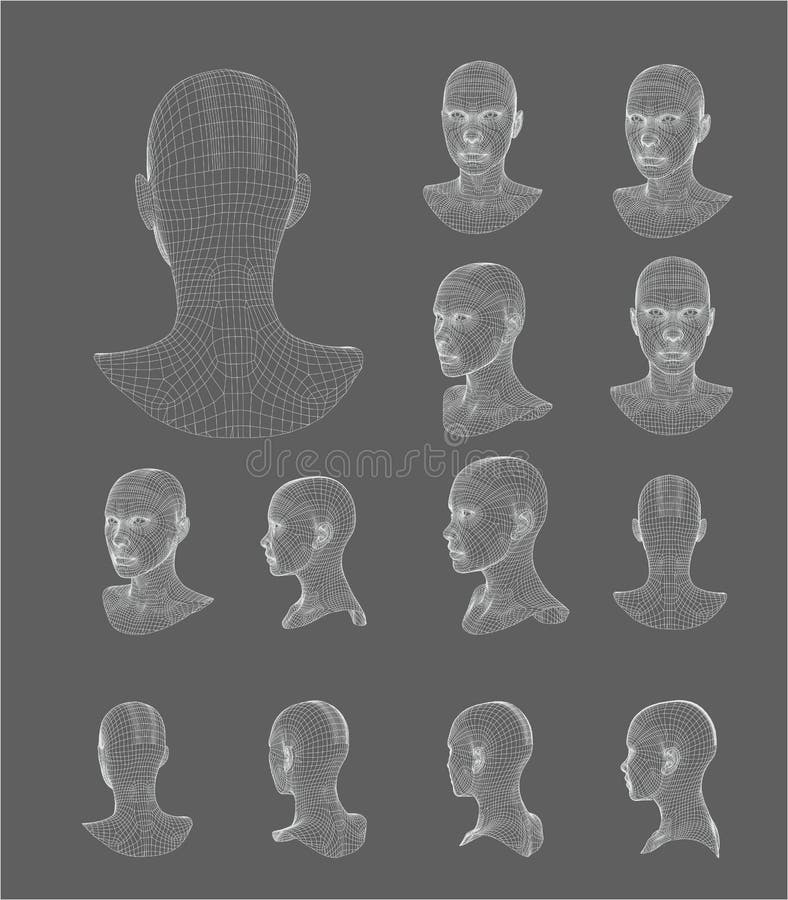 Head of the Person from a 3d Grid. Human Head Wire Model. Human Polygon ...