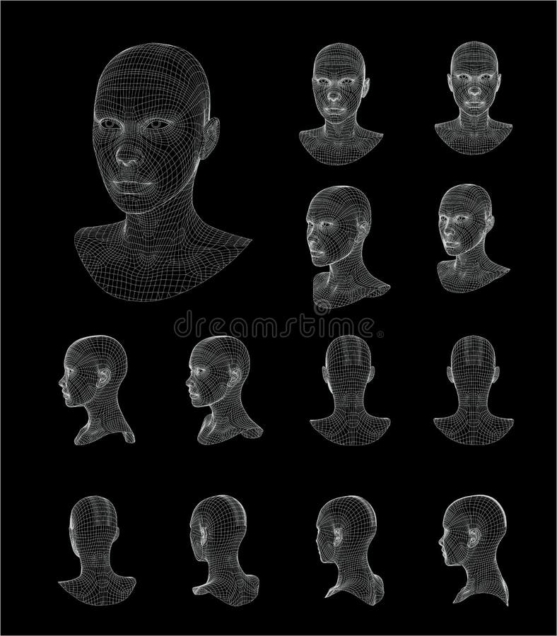 Wireframe Head 3d Model Vector Illustration Stock Vector - Illustration ...