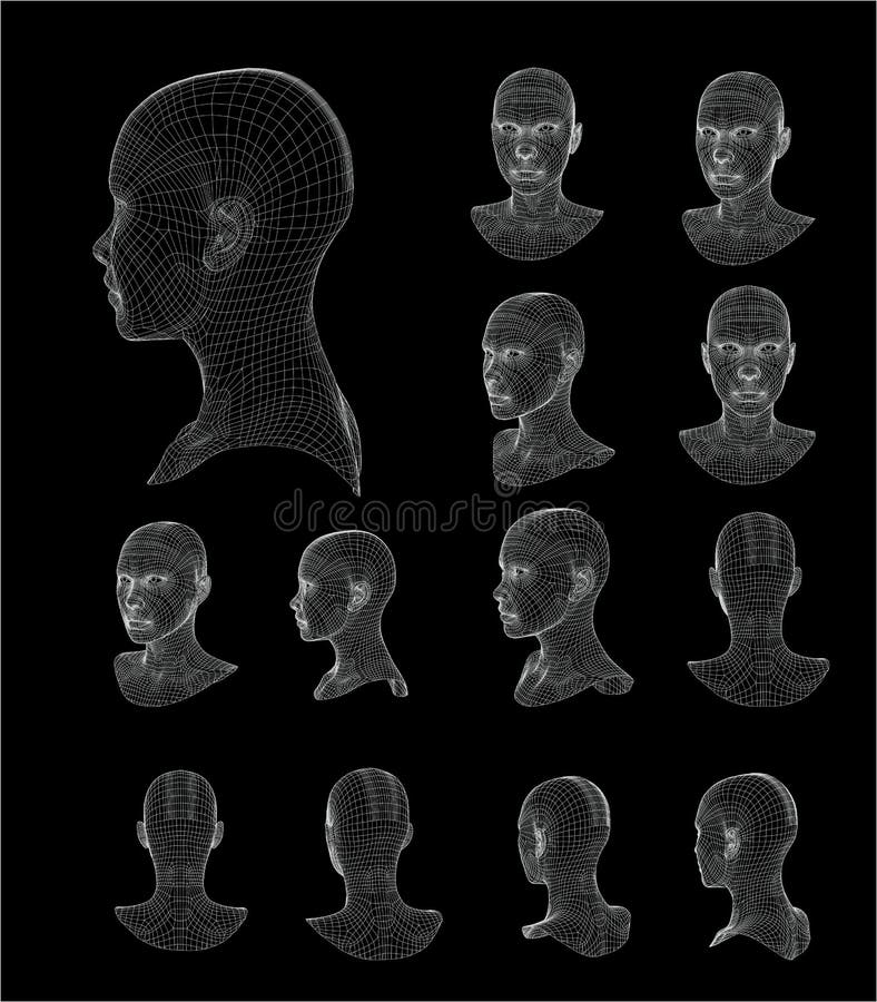 Wireframe Head 3d Model Vector Illustration Stock Vector - Illustration ...