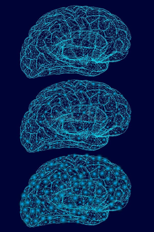 Wireframe of the Human Brain of the Blue Lines with Glowing Lights ...