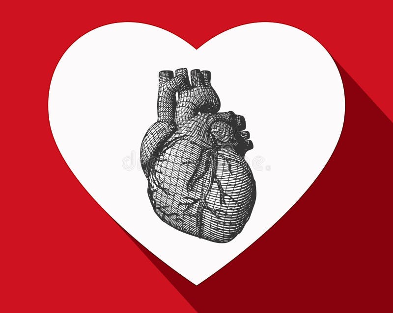 Wireframe Human Heart Stock Illustrations – 555 Wireframe Human Heart ...