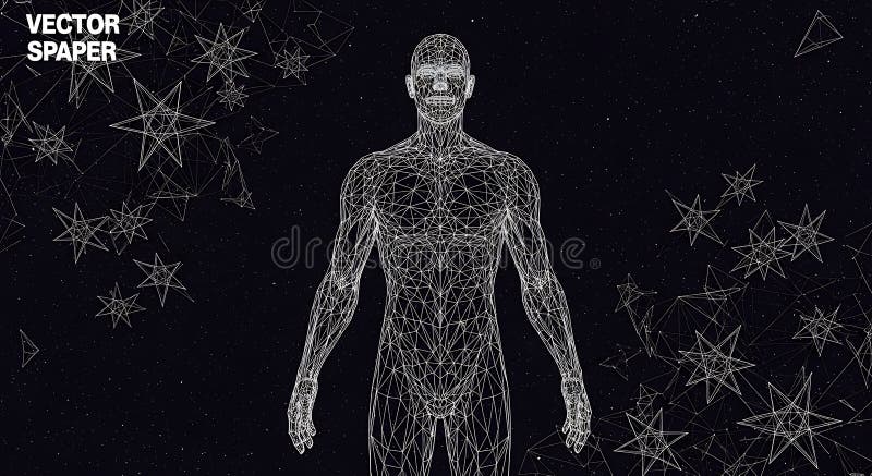 Wireframe Illustration of a Human Figure, Composed of White Lines ...