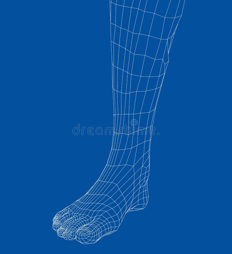 Wireframe Leg. Close-up View Stock Vector - Illustration of beautiful ...