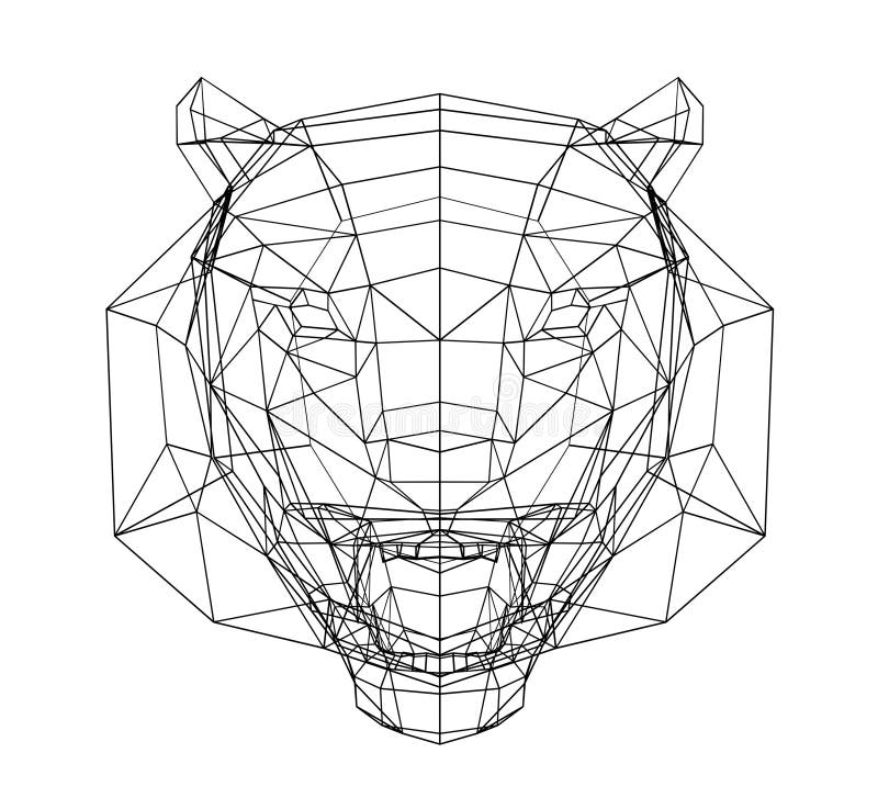 Wireframe Low Poly Tiger Head in Profile and Full Face Stock ...