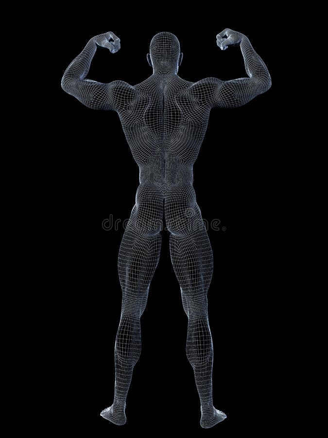 A wireframe man stock illustration. Illustration of graphic - 134033197