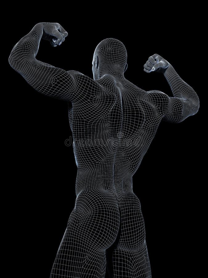 A wireframe man stock illustration. Illustration of athlete - 134033230