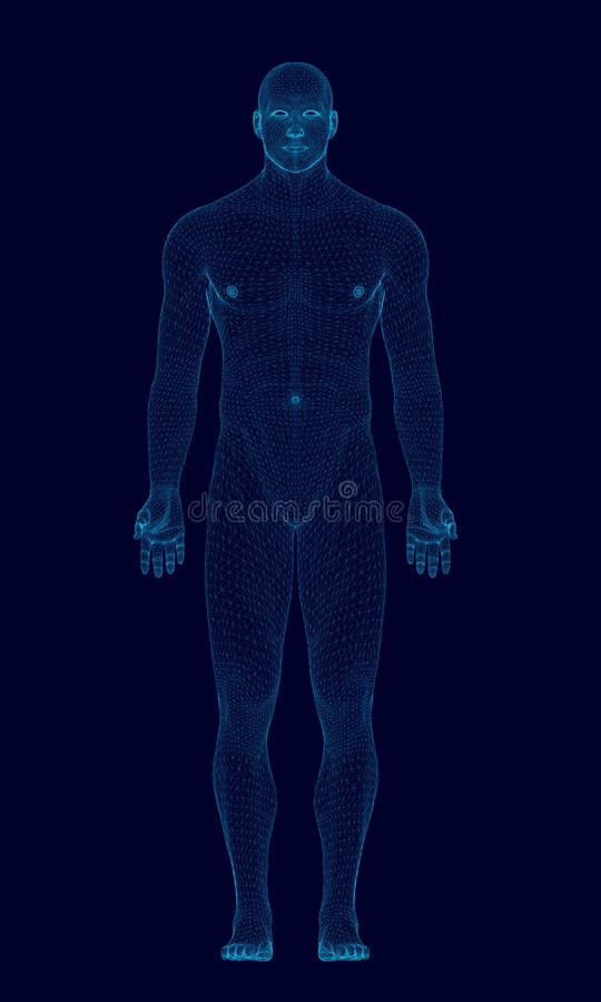 3d Model Man Wireframe Stock Illustrations – 1,649 3d Model Man ...