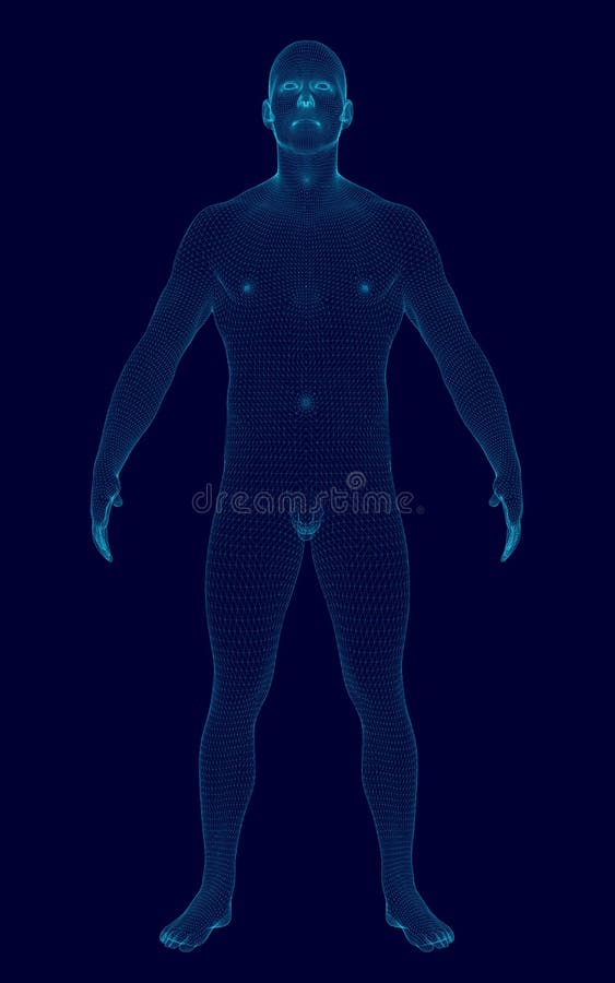 Wireframe Model Man of Blue Lines on a Dark Background. Front View. 3D ...