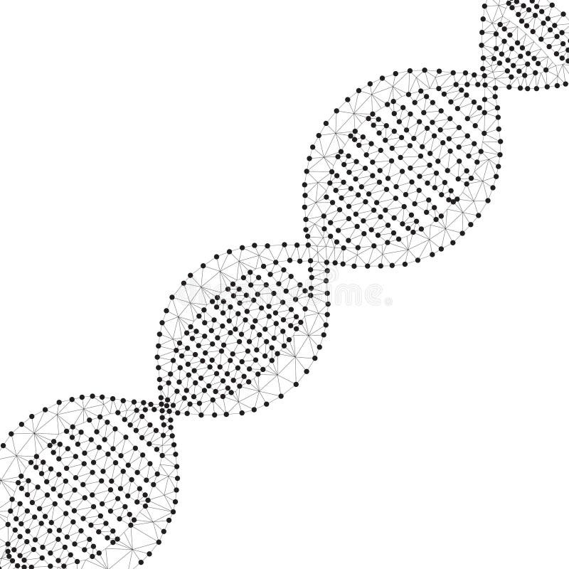 DNA polygon black-white stock vector. Illustration of code - 110725187