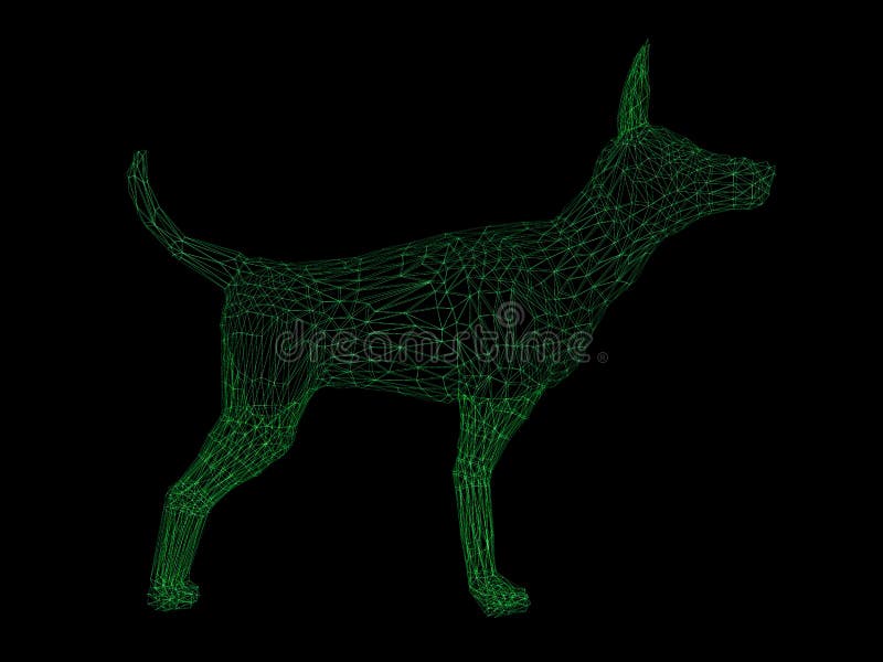 Wireframe polygonal dog stock illustration. Illustration of plexus ...