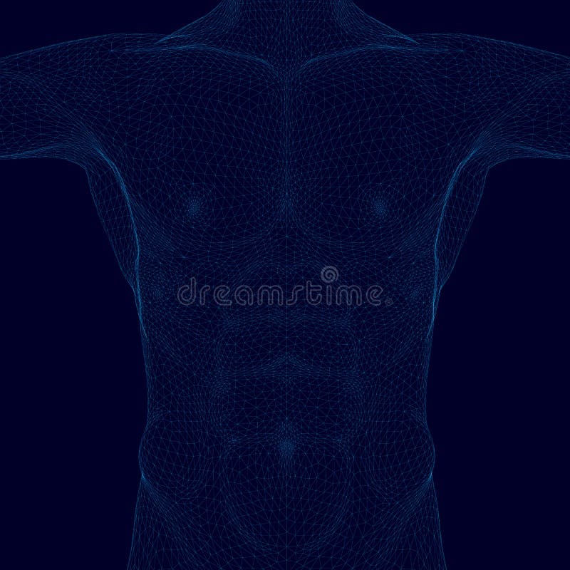 Wireframe Polygonal Torso Man. Body of a Man of Blue Lines on a Dark ...