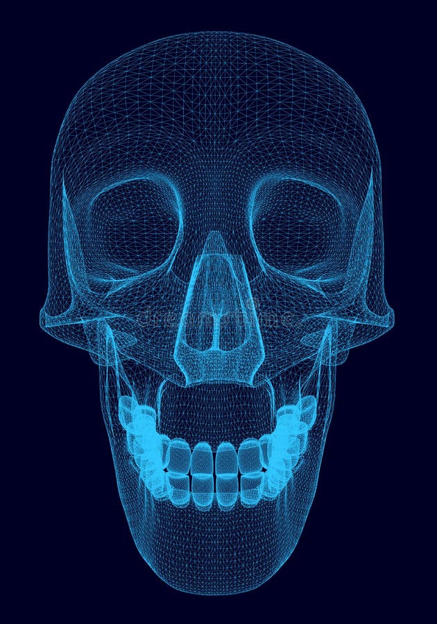 Wireframe of a Realistic Human Skull with Teeth of Blue Lines on a Dark ...