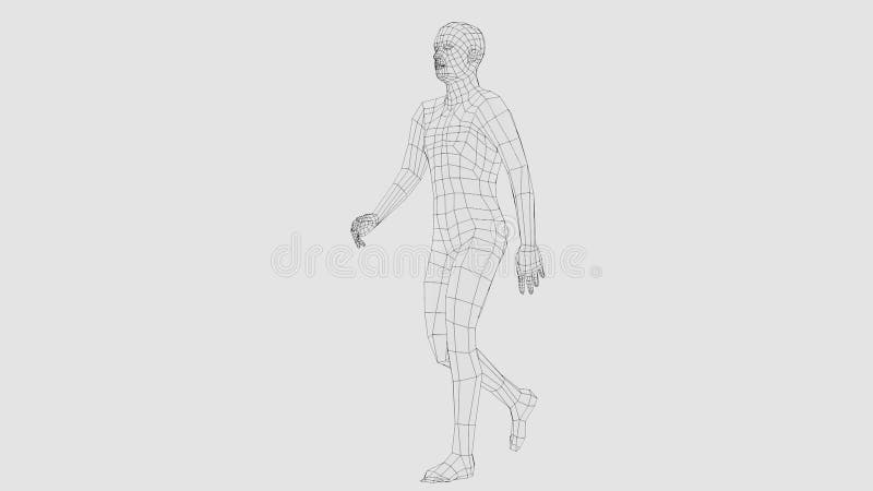 Wireframe Walking Woman, Seamless Loop Animation Stock Footage - Video ...