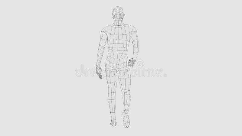 Wireframe Walking Woman, Seamless Loop Animation Stock Footage - Video ...