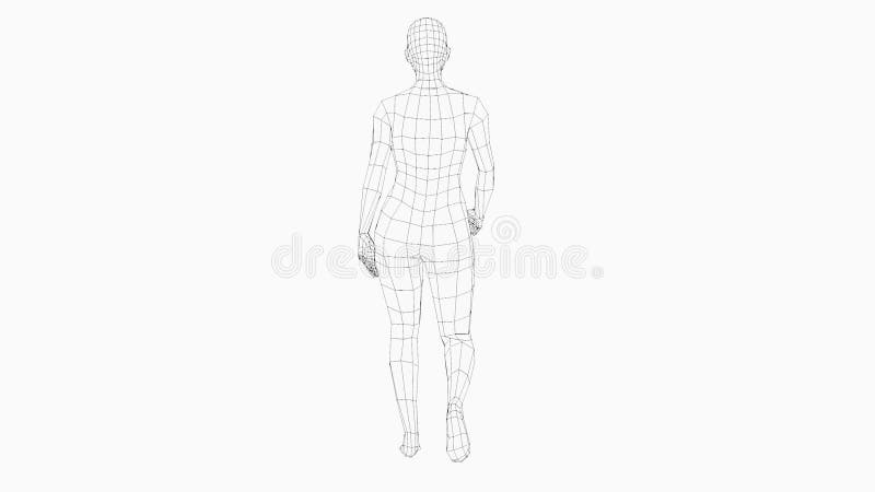 Wireframe Walking Woman, Seamless Loop Animation Stock Footage - Video ...