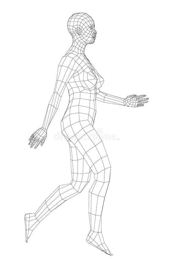 Woman Body Wireframe Stock Illustrations – 984 Woman Body Wireframe ...