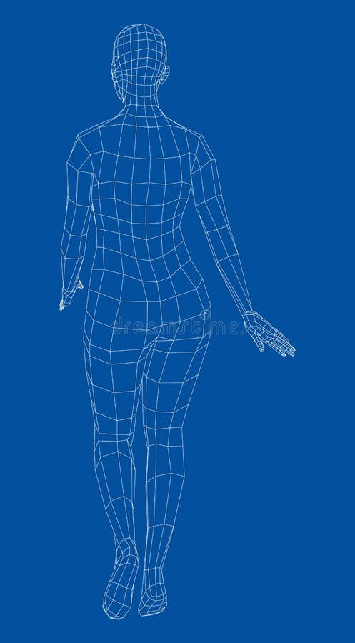Wireframe Walking Woman. Vector Stock Vector - Illustration of outline ...